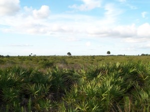 Prairie Ridge - Ghost Town