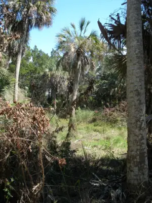 Bayport (Bay Port) - Ghost Town